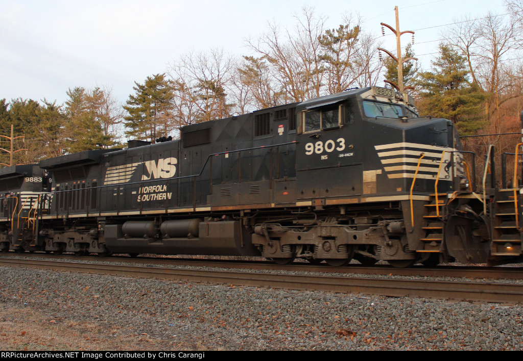 NS 9803 on 24K
